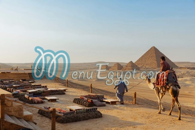 Menu delivery - hotline - 9 Pyramids Lounge | منيو ورقم مطعم 9 بيراميدز ...